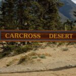 Skagway Shore Excursion: Yukon Discovery Tour - Who Should Consider This Tour?