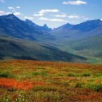 Skagway Shore Excursion: Yukon Dog Sledding and Sightseeing Tour - Key Points