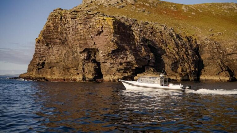 Skellig Michael: Skellig Sightseeing Cruise with AquaTerra - Final Thoughts: Is This the Right Tour for You?