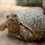 Skip the Line: General Admission to River Bend Nature Center Ticket - FAQ