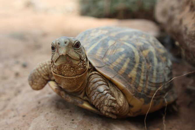 Skip the Line: General Admission to River Bend Nature Center Ticket - FAQ