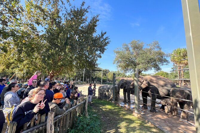 Skip The Line Houston Zoo Admission Ticket - The Realities of Booking and Visiting