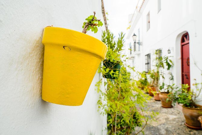 Skip the line Nerja & Frijiliana Day Trip from Granada in a small group - Authentic Reviews and What They Reveal