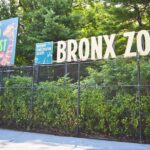 Skip-the-line Tickets to Bronx Zoo with Private Transfers - The Itinerary Breakdown: What to Expect