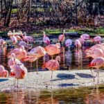Skip-the-line Tickets to Bronx Zoo with Private Transfers - The Itinerary and What to Expect