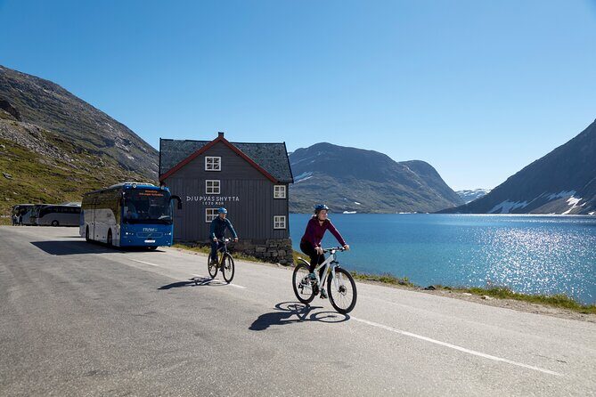 Sky to Fjord Geiranger Downhill Biking Adventure - What the Reviews Say