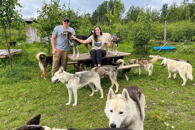 Sled Dog Kennel Tour - How the Experience Complements Your Alaska Trip