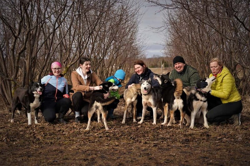 SLED DOG KENNEL VISIT TARTU COUNTRY ESTONIA - Why This Tour is a Good Fit