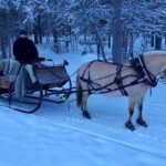 Sleigh or wagon ride in the arctic Country side - Who Will Love This Tour?
