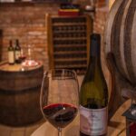 Slovenian wine tasting at Hotel Triglav Bled's wine cellar - Who Will Love This Experience?