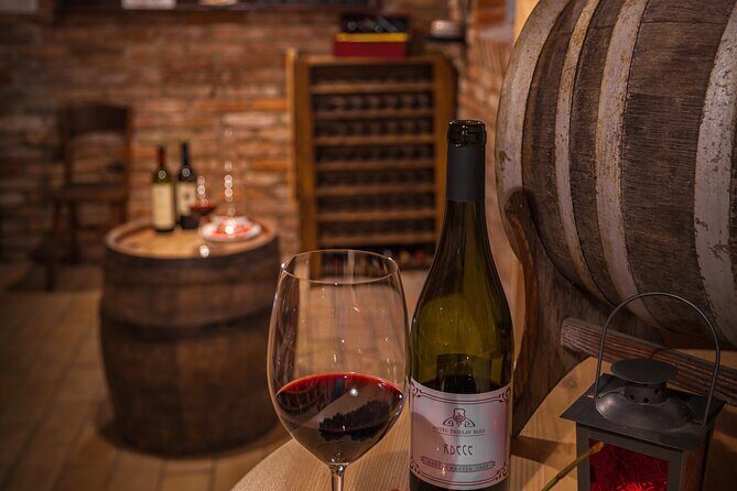Slovenian wine tasting at Hotel Triglav Bled's wine cellar - Who Will Love This Experience?