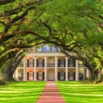 Small Airboat and Oak Alley Plantation Tour from New Orleans - Second Stop: Ragin Cajun Airboat Tours (2 hours)