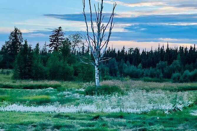 Small Group 18-hole Golf Experience in Fairbanks - Who Should Consider This Tour?