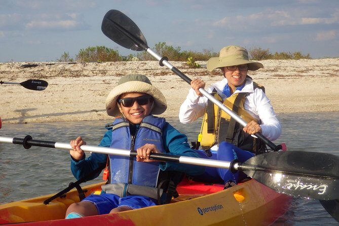 Small Group Boat, Kayak and Walking Guided Eco Tour in Everglades National Park - The Value of a Guided Small-Group Tour