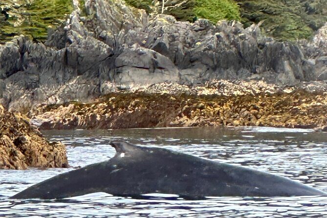 Small Group Boat Tour of Sitka - What Travelers Say About the Tour