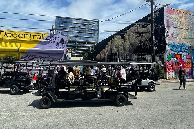 Small-Group Brewery Golf Cart Tour of Wynwood with a Local Guide - The Guide and Group Size