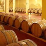 Small-Group Chianti Trip with Wine Tasting from Siena - Who Will Love This Tour?