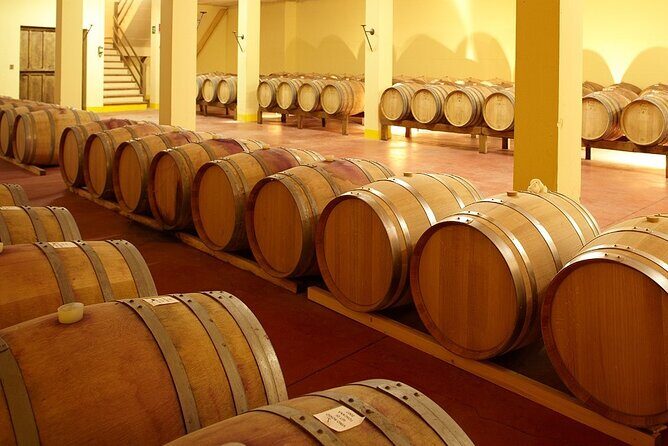 Small-Group Chianti Trip with Wine Tasting from Siena - Who Will Love This Tour?