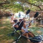 Small-Group Clear Kayak Tour in Shell Key - Navigating the Mangrove Tunnels and Natural Highlights