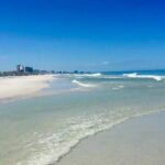 Small Group Clearwater Beach, Dolphin Watch Day Tour from Orlando - The Pros and Cons in Depth