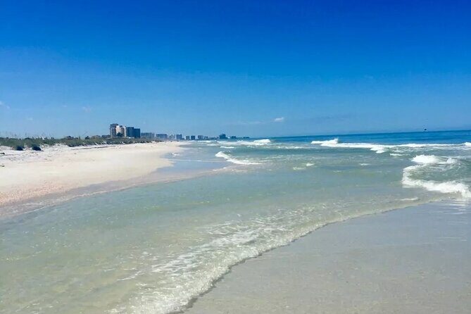 Small Group Clearwater Beach, Dolphin Watch Day Tour from Orlando - The Pros and Cons in Depth
