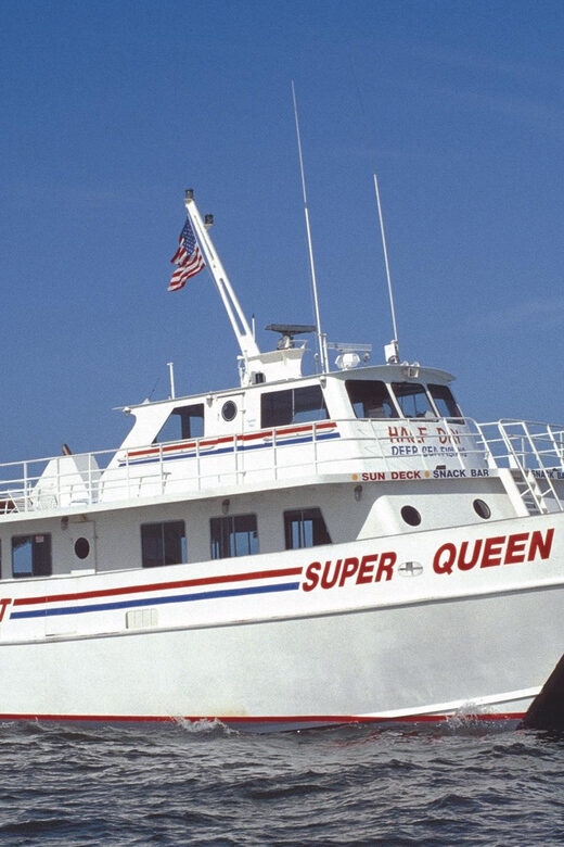 Small Group Clearwater Beach,Dolphin Watch Tour from Orlando - An Impressive Itinerary with Room for Flexibility