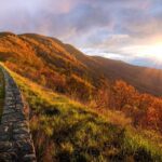 Small-Group DC Day Trip to Shenandoah Park&Luray Cavern - Transportation & Logistics: Making the Most of the Day