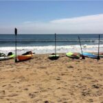 Small Group Dolphin Kayak Eco-Tour - Insights from the Reviews