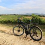 Small Group E-Bike Chianti Tour with farm lunch from Siena - The Bottom Line