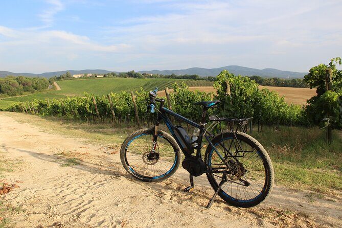 Small Group E-Bike Chianti Tour with farm lunch from Siena - The Bottom Line