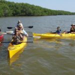 Small-Group Everglades Boating Kayaking and Walking Eco Tour - The Sum Up: Who Will Appreciate This Tour?