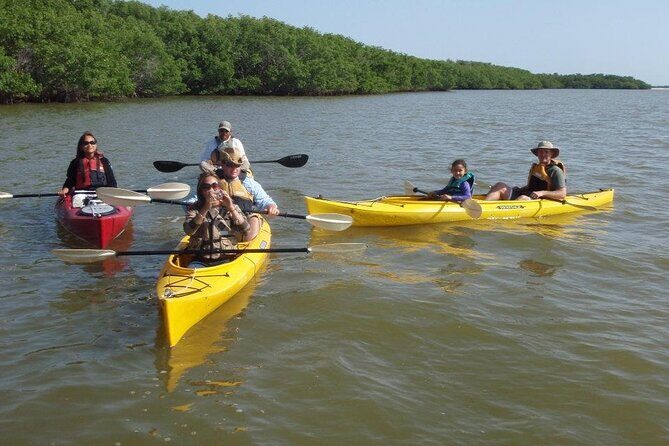 Small-Group Everglades Boating Kayaking and Walking Eco Tour - The Sum Up: Who Will Appreciate This Tour?