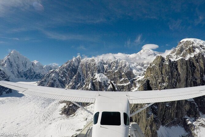 Small-Group Flight Denali National Park Tour with Guided Hike - The Logistics: What It Means for You