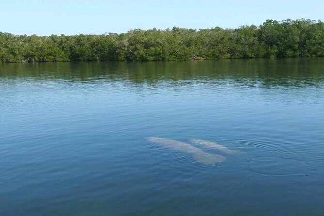 Small Group Florida Keys Eco Tour by Boat - What the Reviews Say