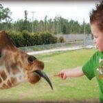 Small Group Fort Lauderdale&Palm Beach Day Tour from Miami FL - What You’ll Experience: An In-Depth Look at the Itinerary