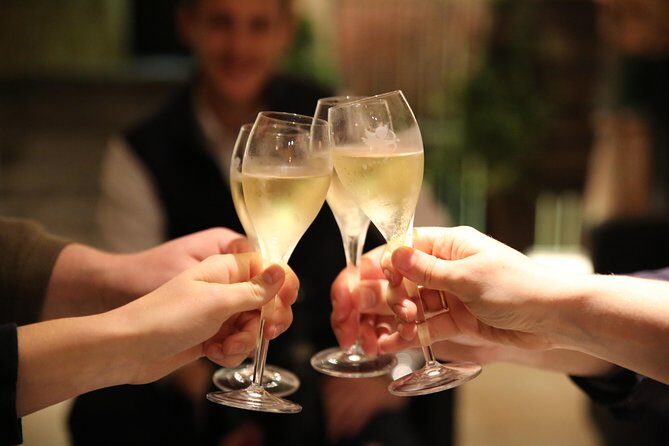 Small Group - Full Day Champagne Tour 3 Small Champagne Growers - Who Should Consider This Tour?