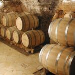 Small-Group Full-Day Private Wine Tour from Avignon - The Itinerary in Detail