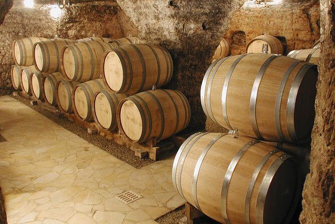 Small-Group Full-Day Private Wine Tour from Avignon - The Itinerary in Detail