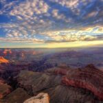 Small Group Grand Canyon, Hoover Dam and Joshua Tree Forest Tour - What Makes This Tour Stand Out?