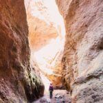 Small-Group Half-Day Canyoning in La Orotava - The Value of This Canyoning Tour