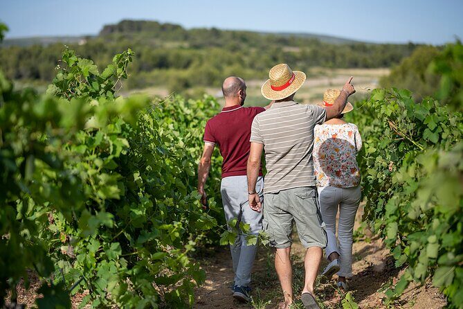 Small-Group Half-Day Châteaux of Montpellier Wine Tour - The Itinerary in Detail