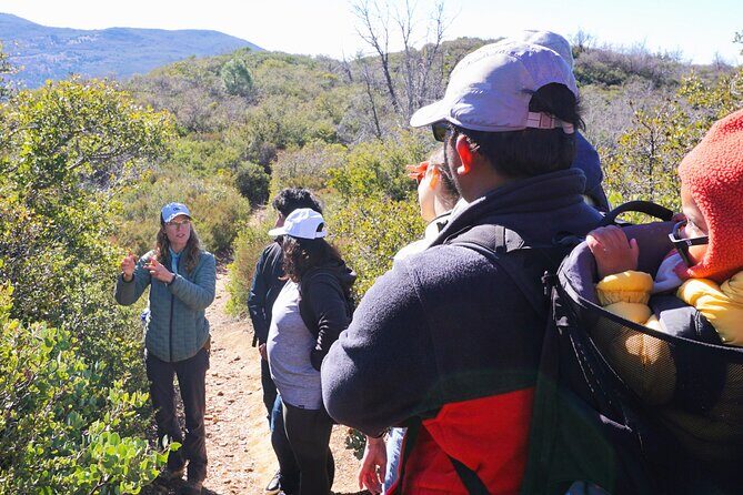 Small Group Hike Through San Diego's Heart and Soul - The Value of the Experience