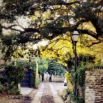 Small Group Historic Charleston walking Tour - FAQ