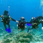 Small-Group Introductory Scuba Diving in Pula - What Makes This Tour Stand Out?