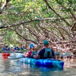 Small Group Kayak Tour of the Shell Key Preserve - Who Will Love This Tour?