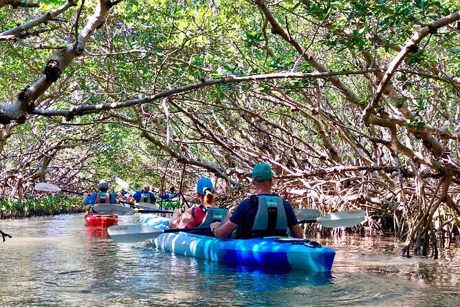 Small Group Kayak Tour of the Shell Key Preserve - Who Will Love This Tour?