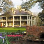 Small-Group Louisiana Plantations Tour with Gourmet Lunch from New Orleans - The Itinerary: Two Contrasting Plantations