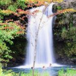 Small-Group Luxury Tour: Road to Hana and Ka'eleku Cavern Day Trip - Why It’s a Great Value
