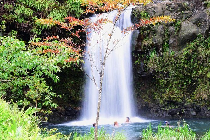 Small-Group Luxury Tour: Road to Hana and Ka'eleku Cavern Day Trip - Why It’s a Great Value