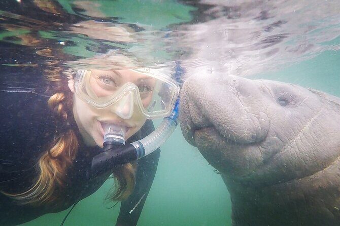 Small Group Manatee Snorkel Tour with In-Water Guide and Photographer - Water, Water Everywhere, and Why It Matters